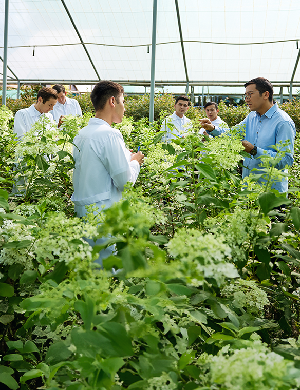 Fermerlar Onlayn Maktabi